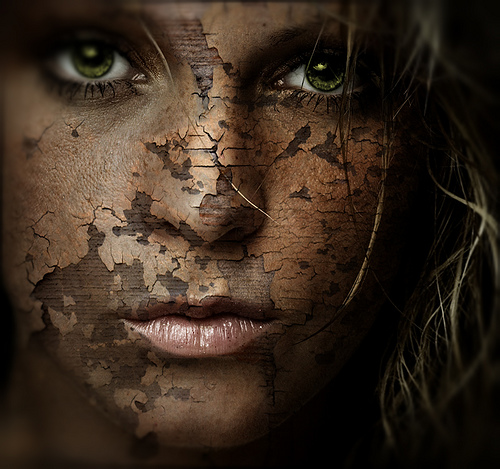 Why so dry Lafayette | aRejuvenation Skin CareaRejuvenation Skin Care ...